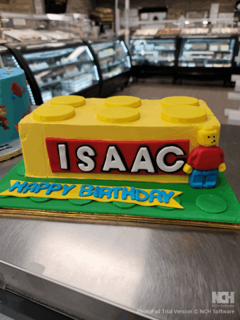 Giant Lego Block Birthday Cake | Goodies Bake Shop